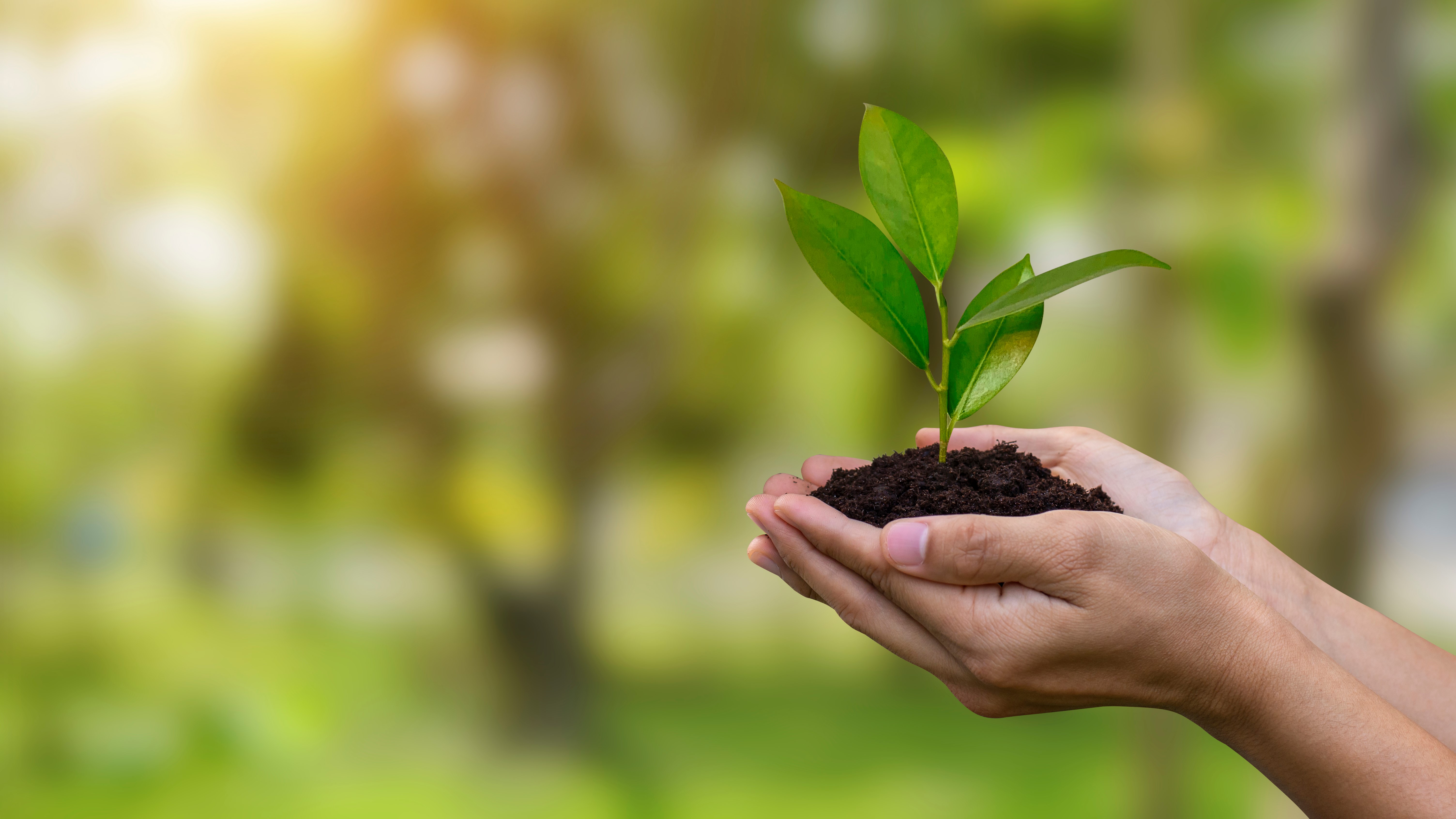 Strategising for climate change mitigation