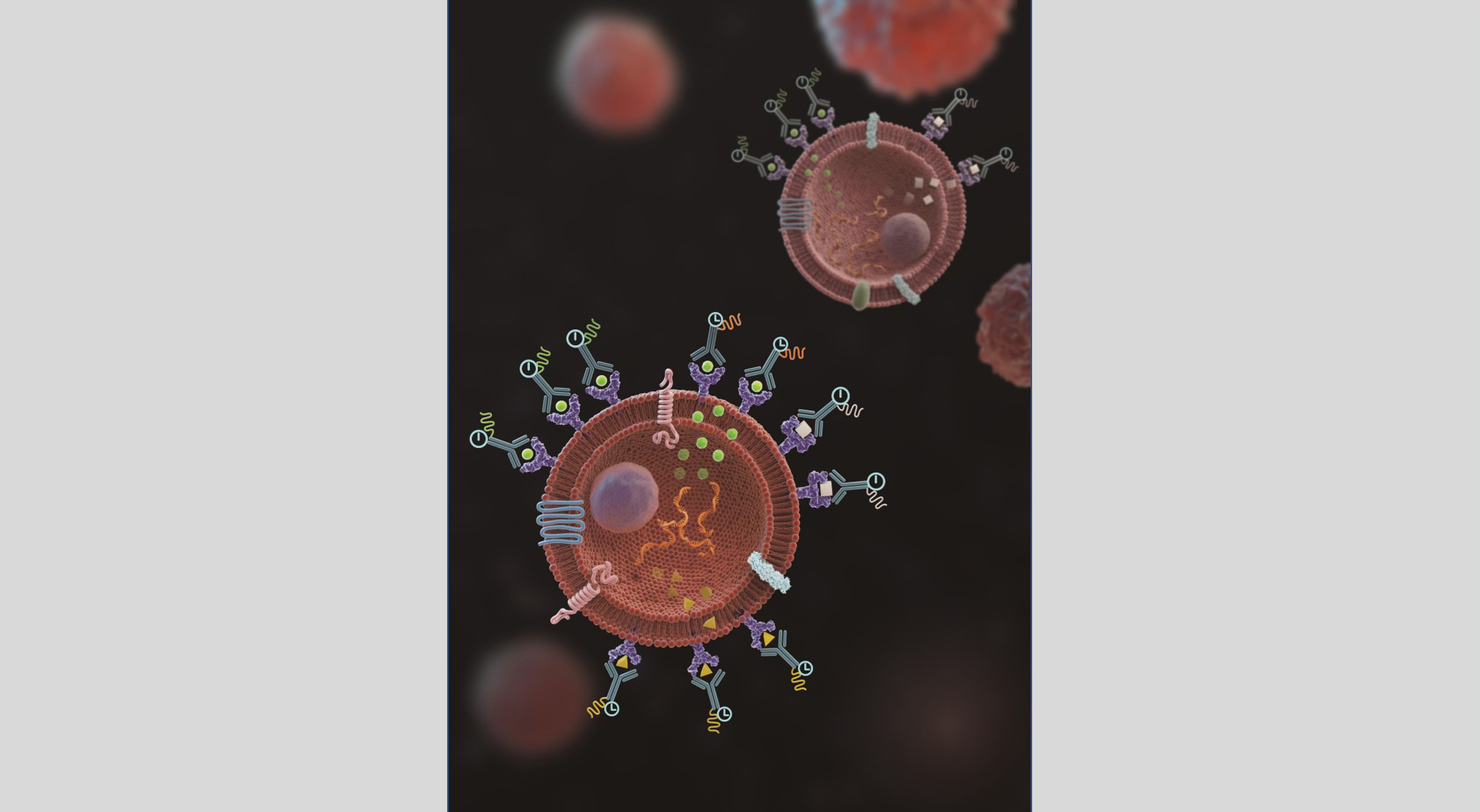 NUS researchers invent powerful tool to gather data on immune response ...