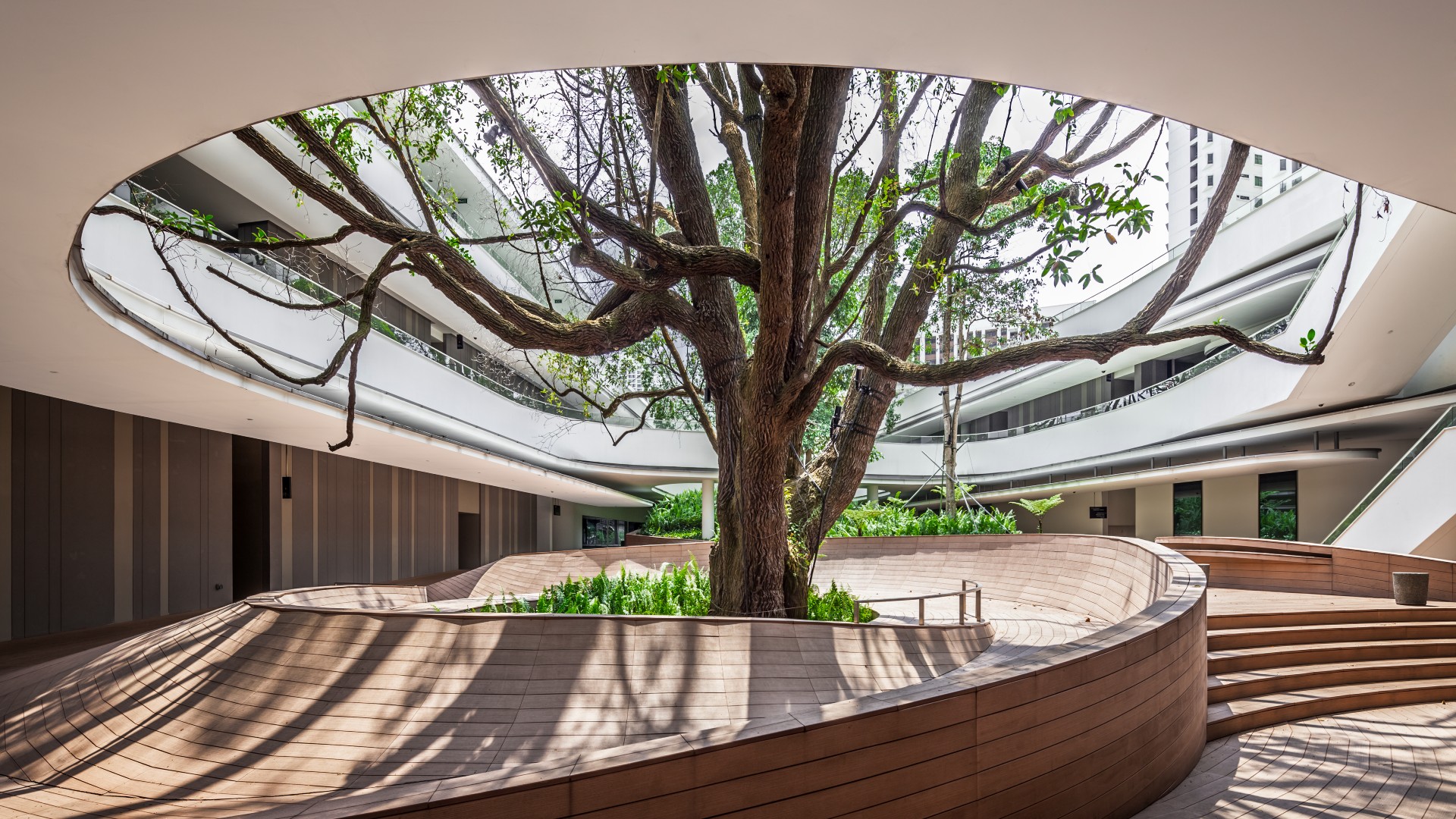 Why universities should steer climate action