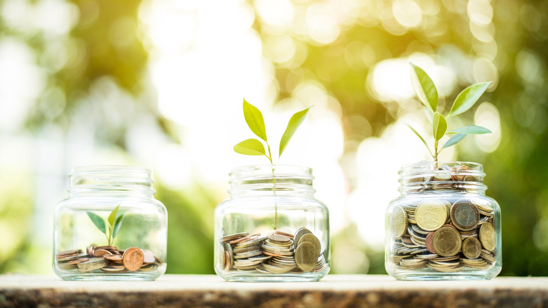 What is green finance and why is it important?