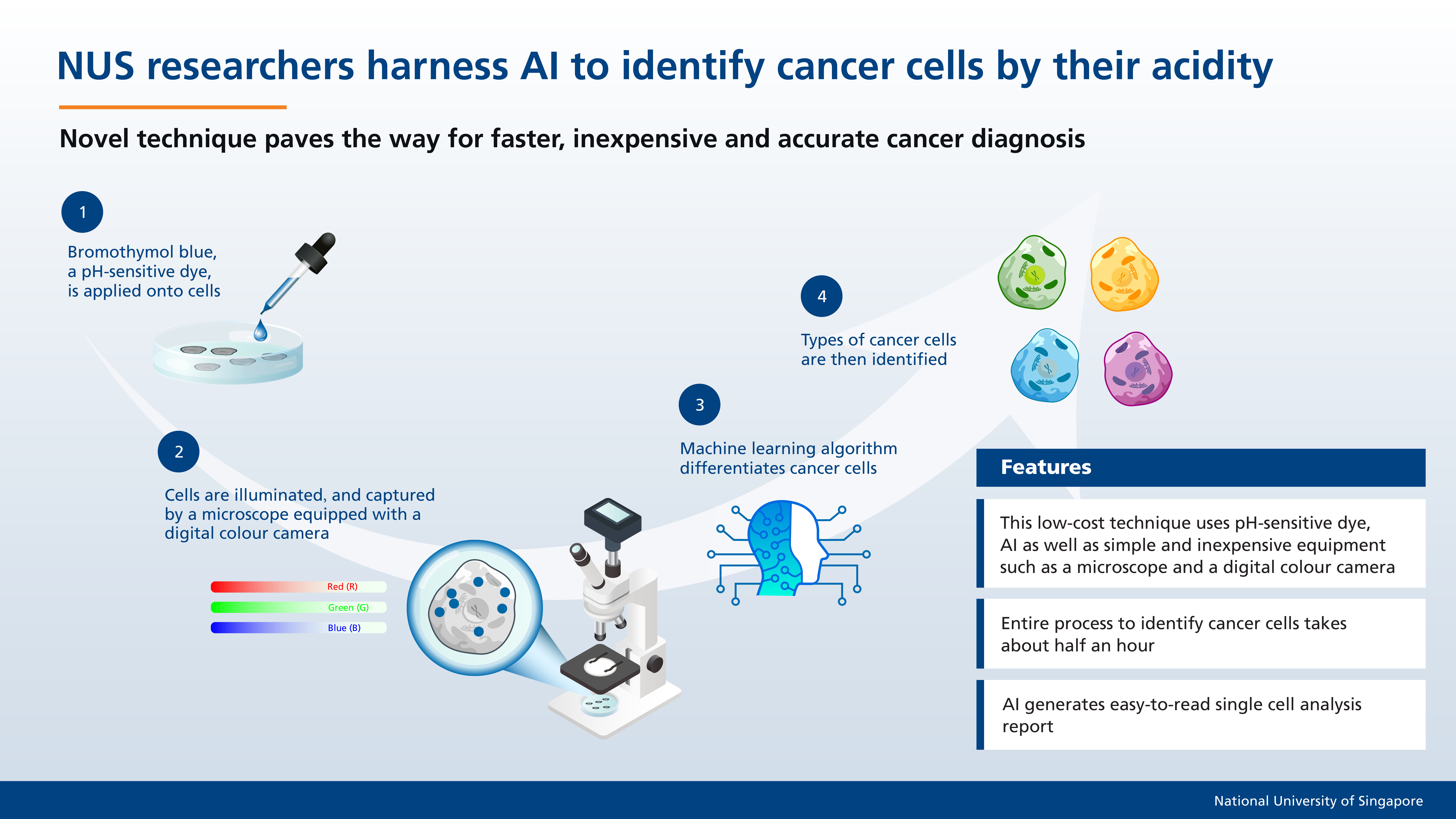 NUS researchers harness AI to identify cancer cells by their acidity