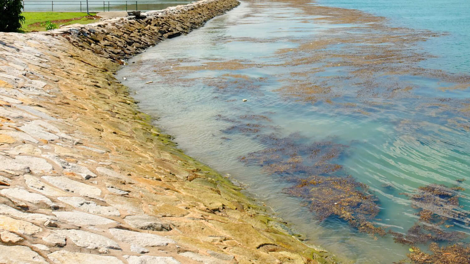 Modelling for coastal defence