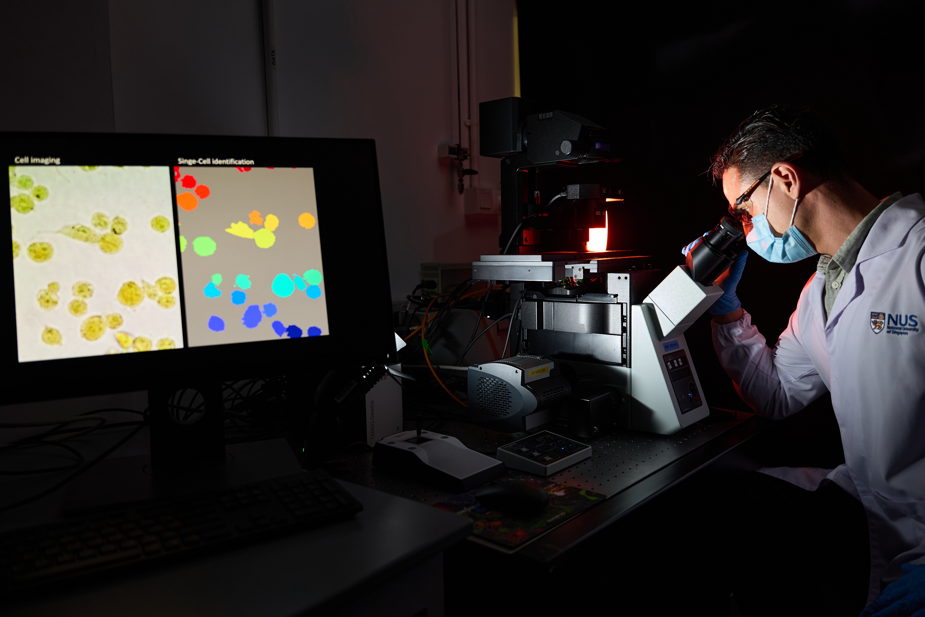 NUS researchers harness AI to identify cancer cells by their acidity