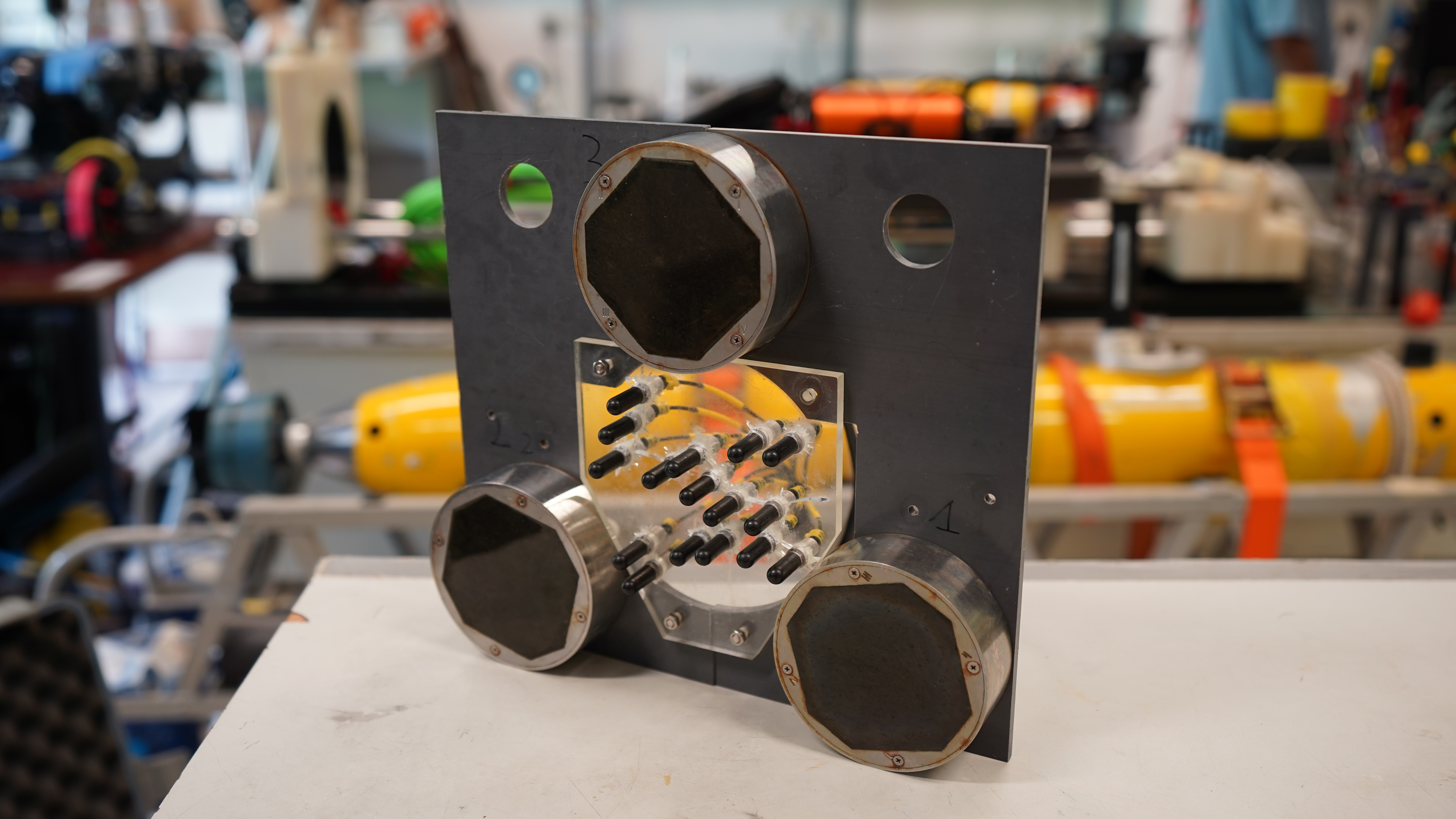 Dolphin-inspired compact sonar for enhanced underwater acoustic imaging