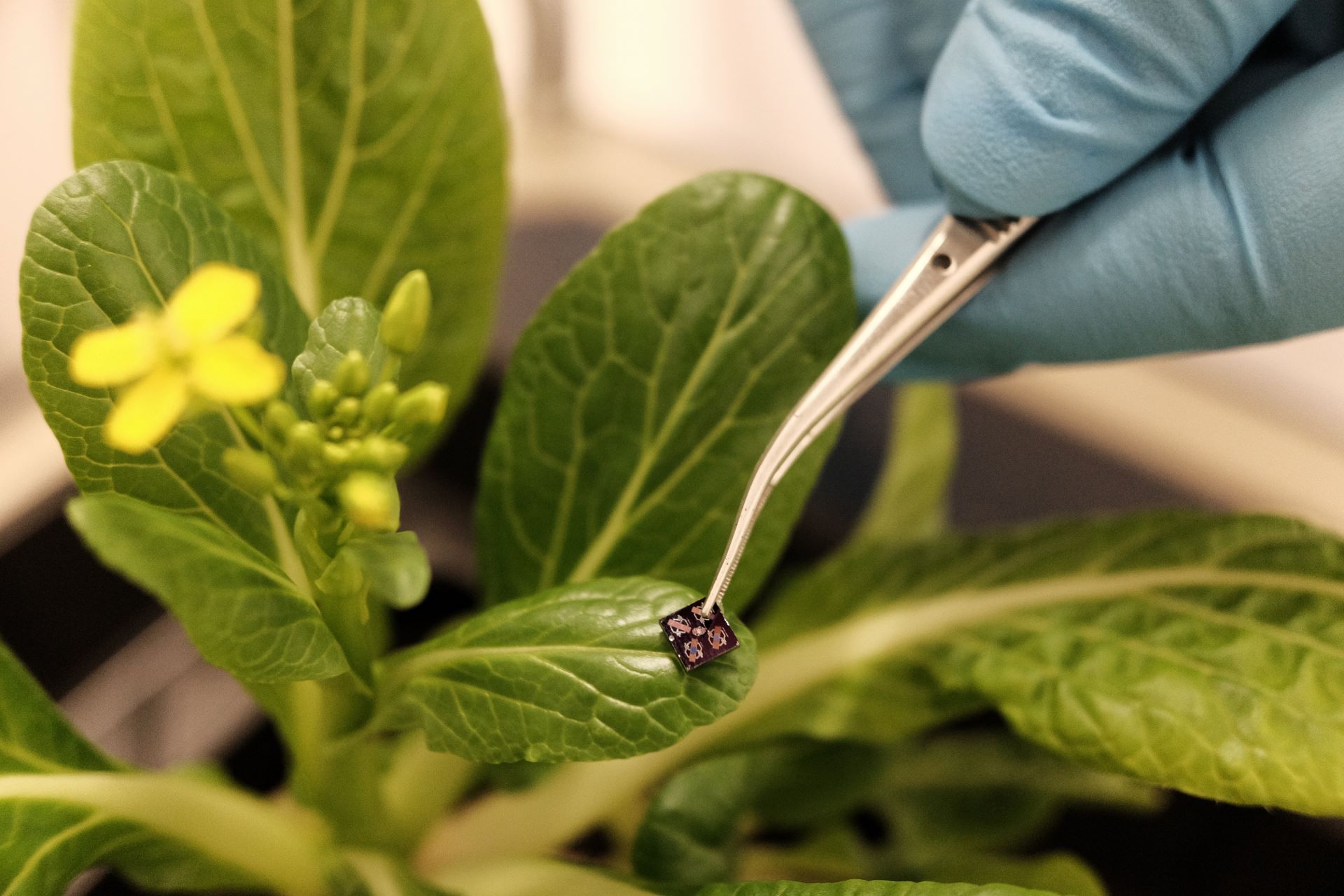 NUS Reimagine Research Initiative to seed research ideas in emerging areas