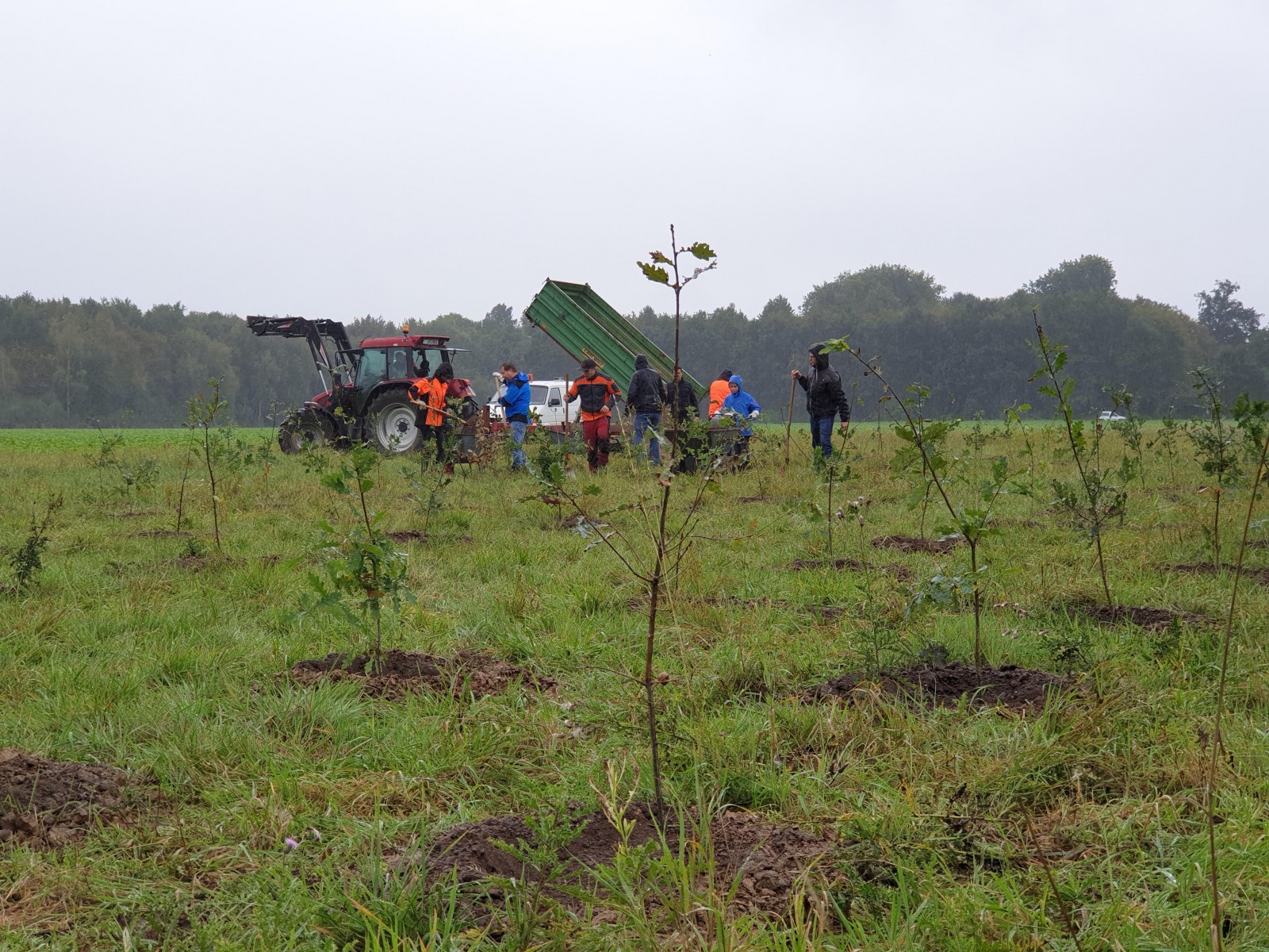 Press release 10/28/19_Messer 3