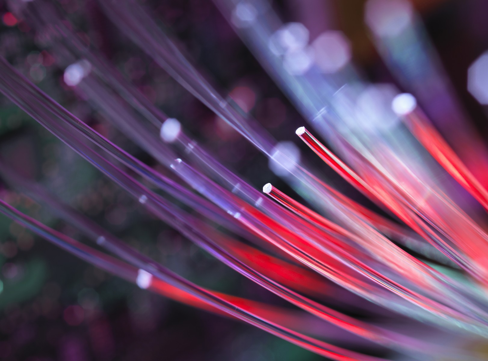 Eurofiber gives network dual upgrade