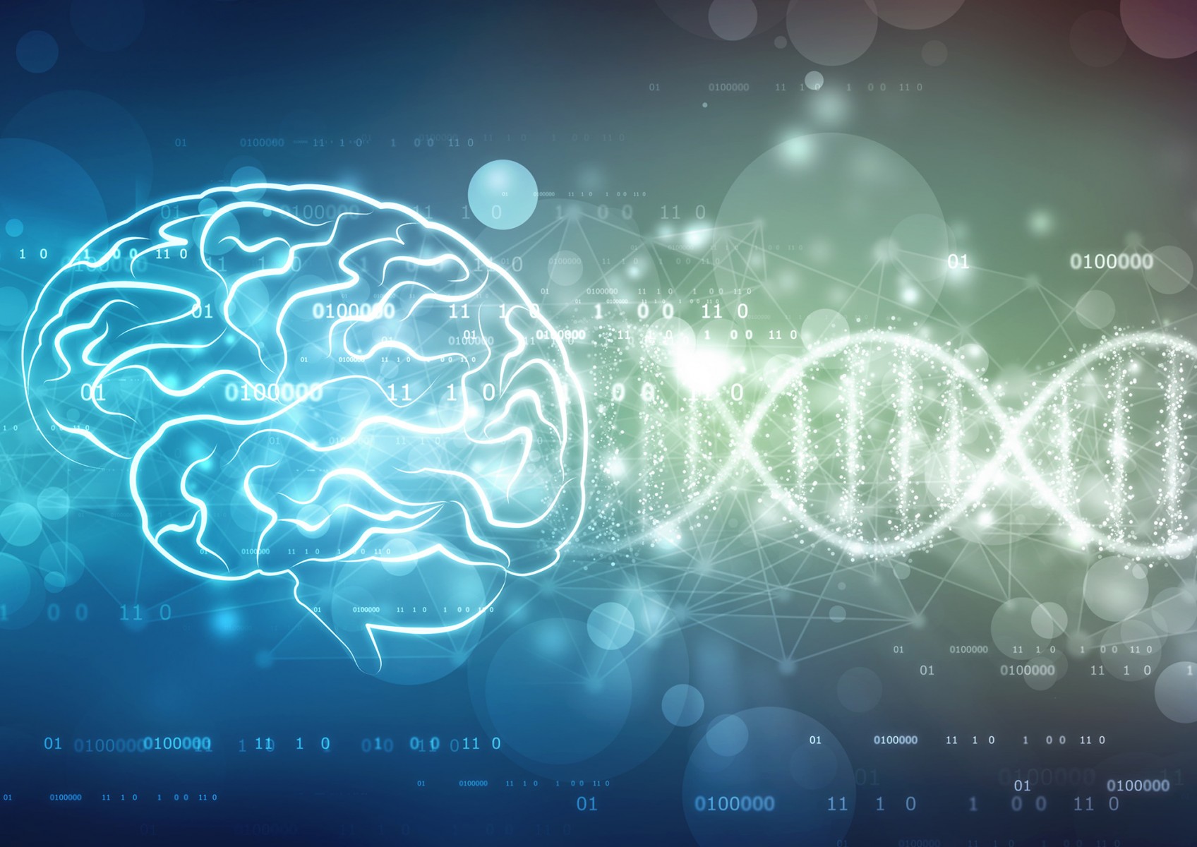 A Computational Look at How Genes Change the Human Brain
