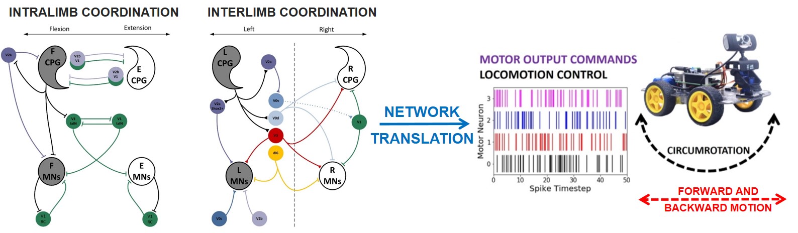 This new robot is taking its first intuitive steps