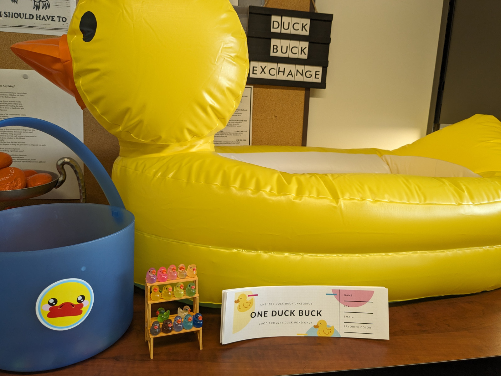 Getting Your Ducks in a Row