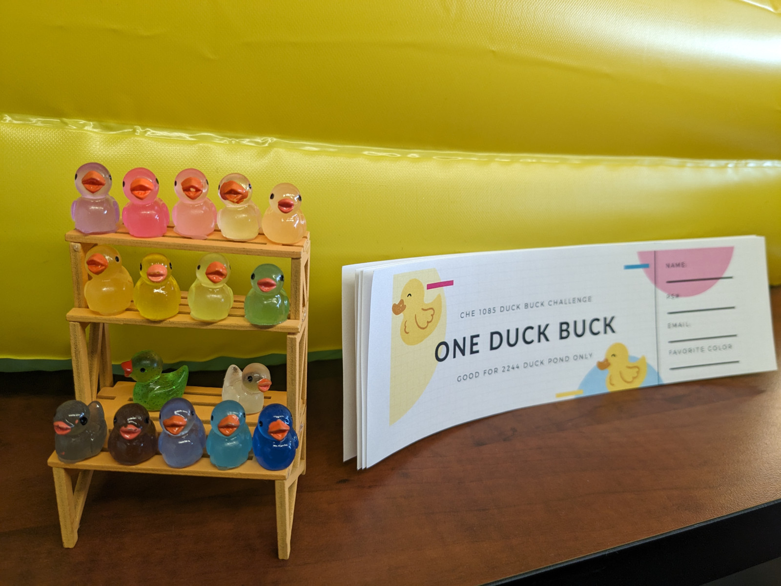 Getting Your Ducks in a Row