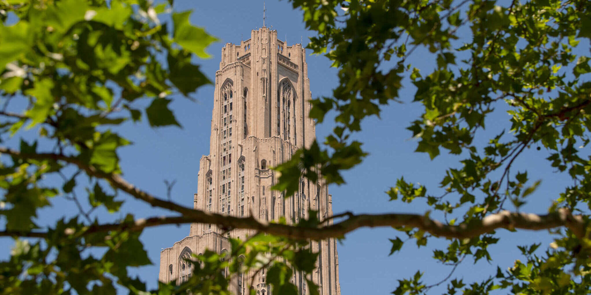 Pitt Bioengineering gets two T32 training grant renewals