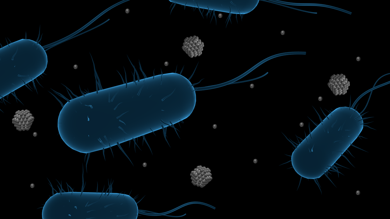 Are Silver Nanoparticles a Silver Bullet Against Microbes?