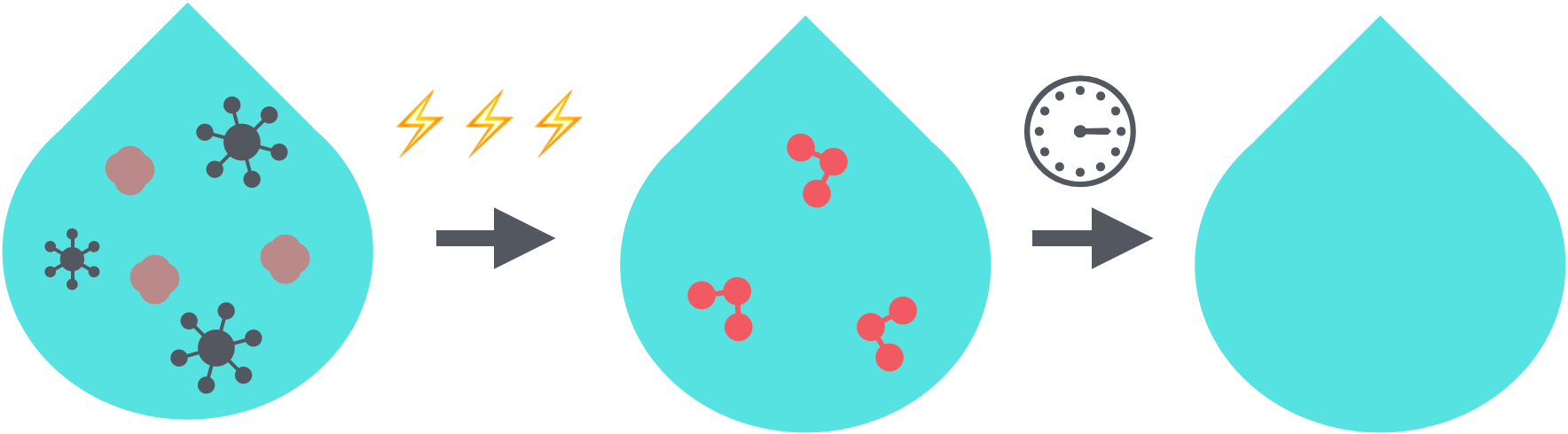 The Clues for Cleaner Water