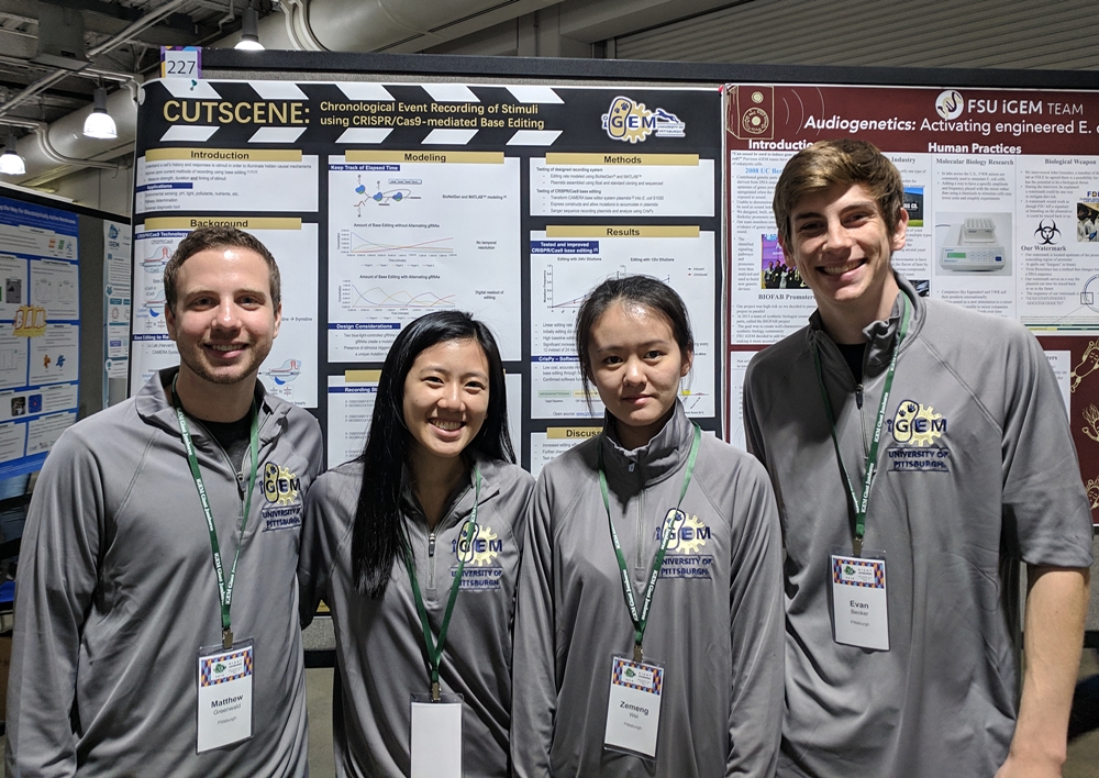 Lights, Camera, Action: Pitt iGEM team captures silver medal for their ...
