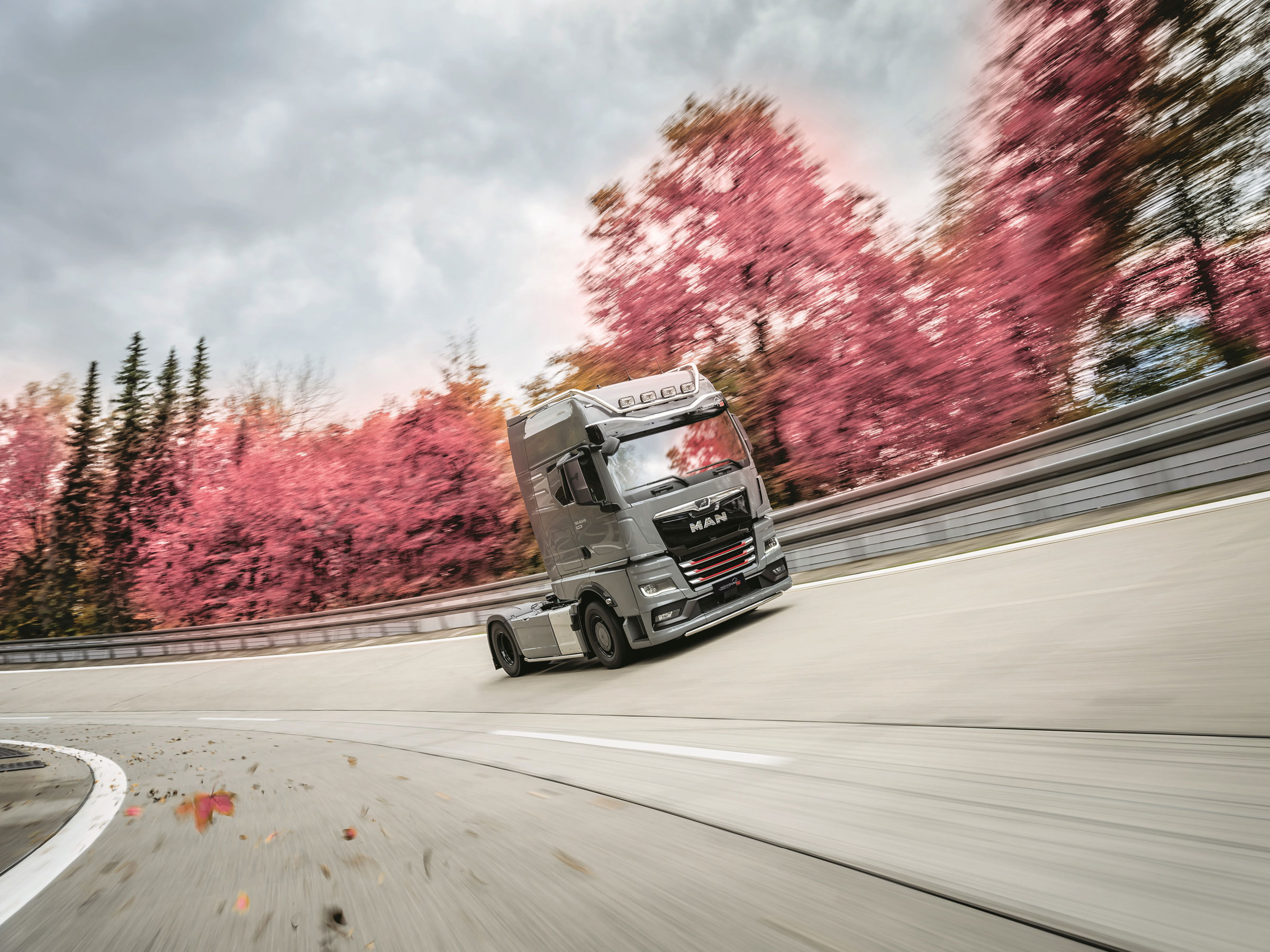 MAN TGX Individual Lion S