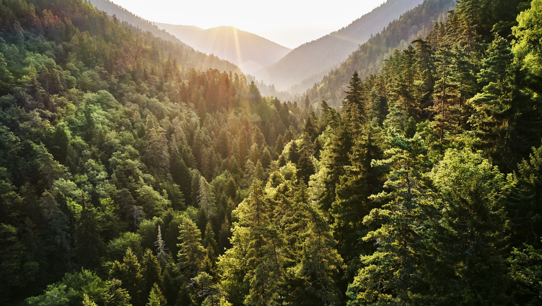 The Plastics Transition 2050 Roadmap from PlasticsEurope