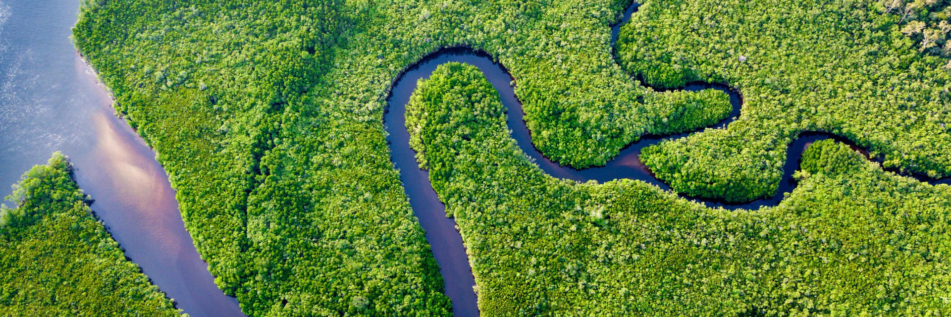 The Plastics Transition 2050 Roadmap from PlasticsEurope