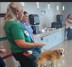 A Fun Celebration with STAR Kids Service Coordination Team