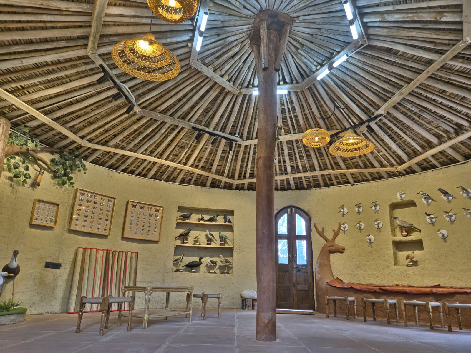 Bridgestone India Inaugurates Nature Interpretation Centre at Its Kheda ...
