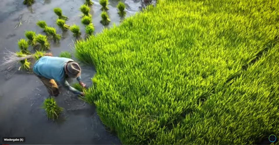 Crop Science Innovation Summit 2023: Videos