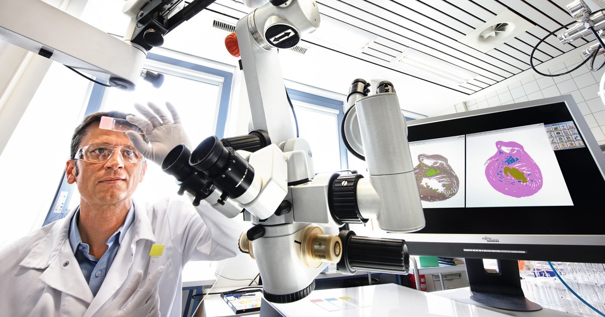 Bayer to present data from cardiovascular portfolio, including late ...