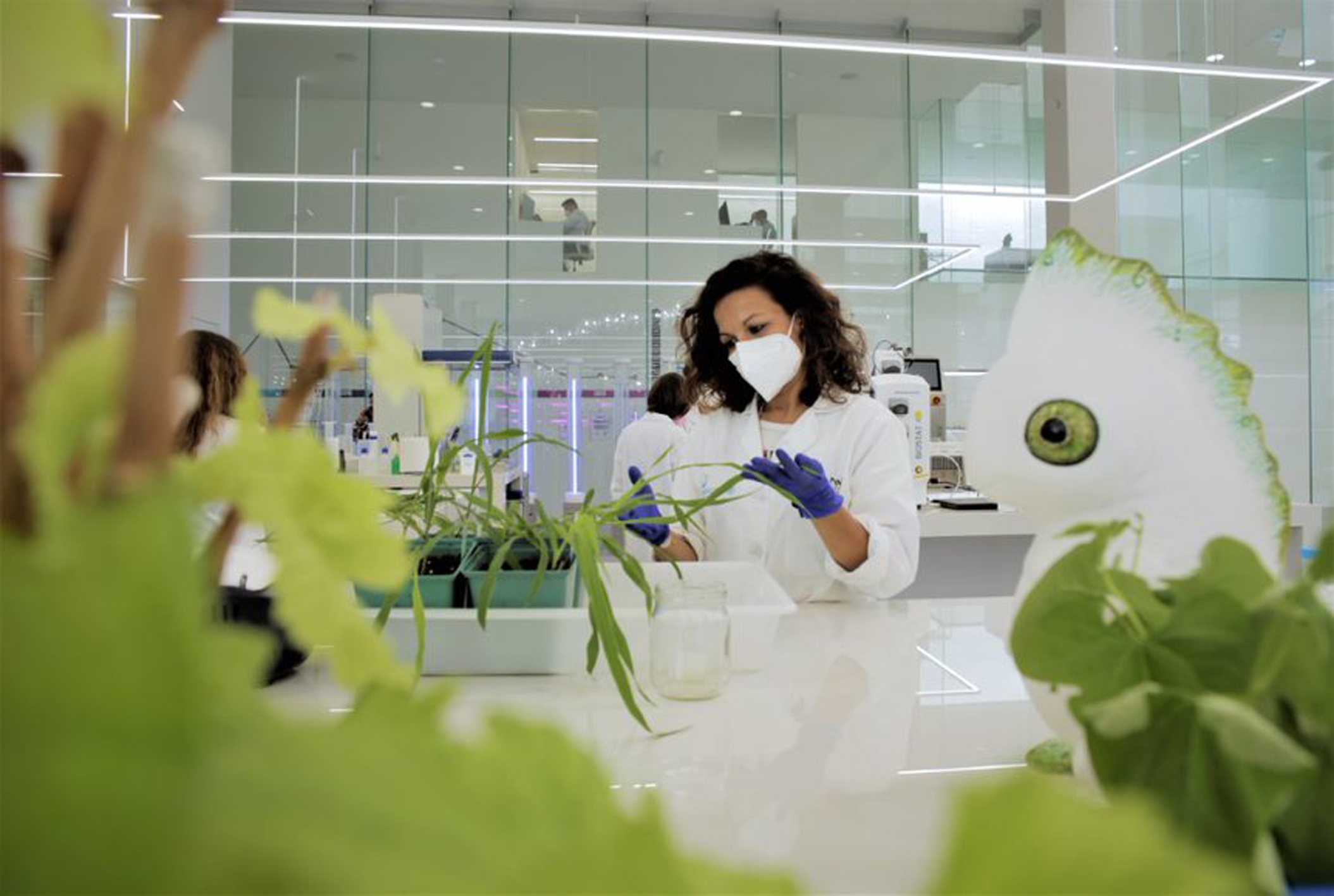 Bayer and Kimitec join forces to bring the next generation of ...
