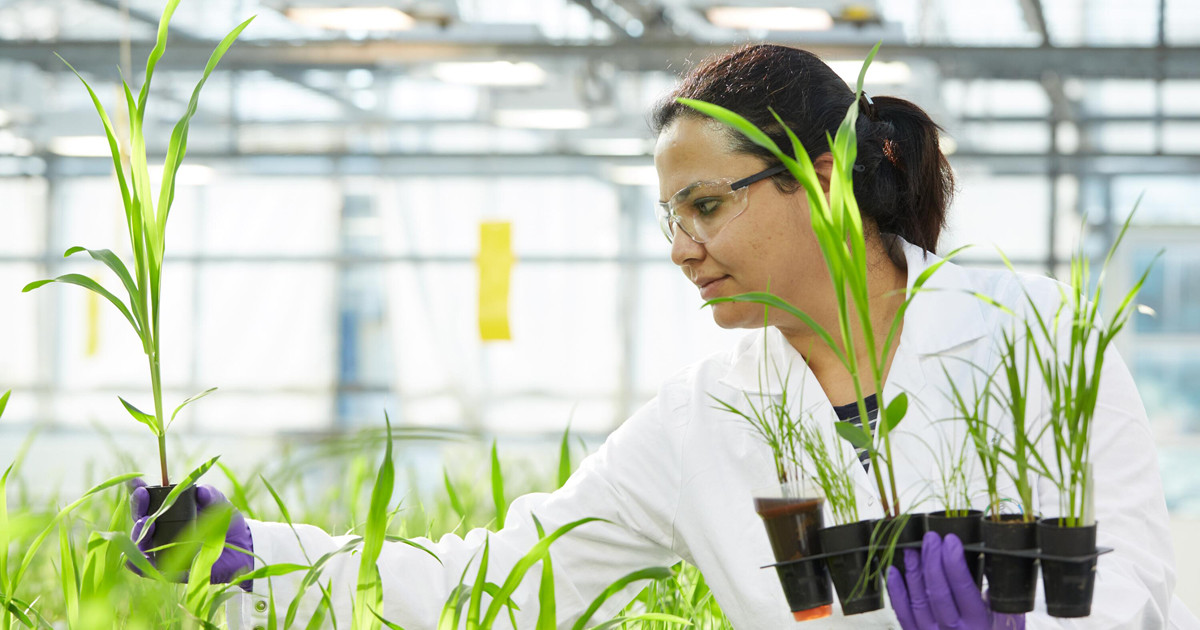 Bayer to deliver ten blockbusters in ten years