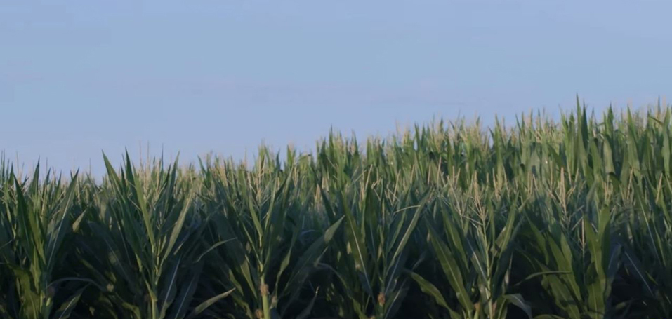 Crop Science Innovation Summit 2023: Videos