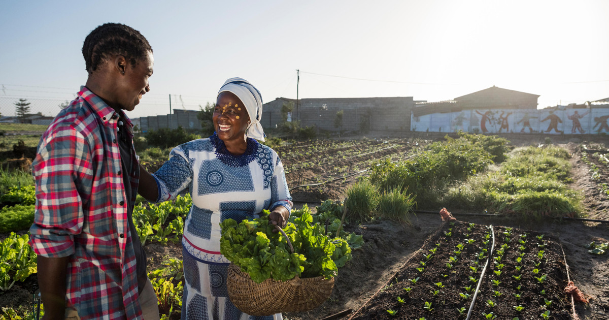 Smallholder farmers from Africa call for improved access to technology ...