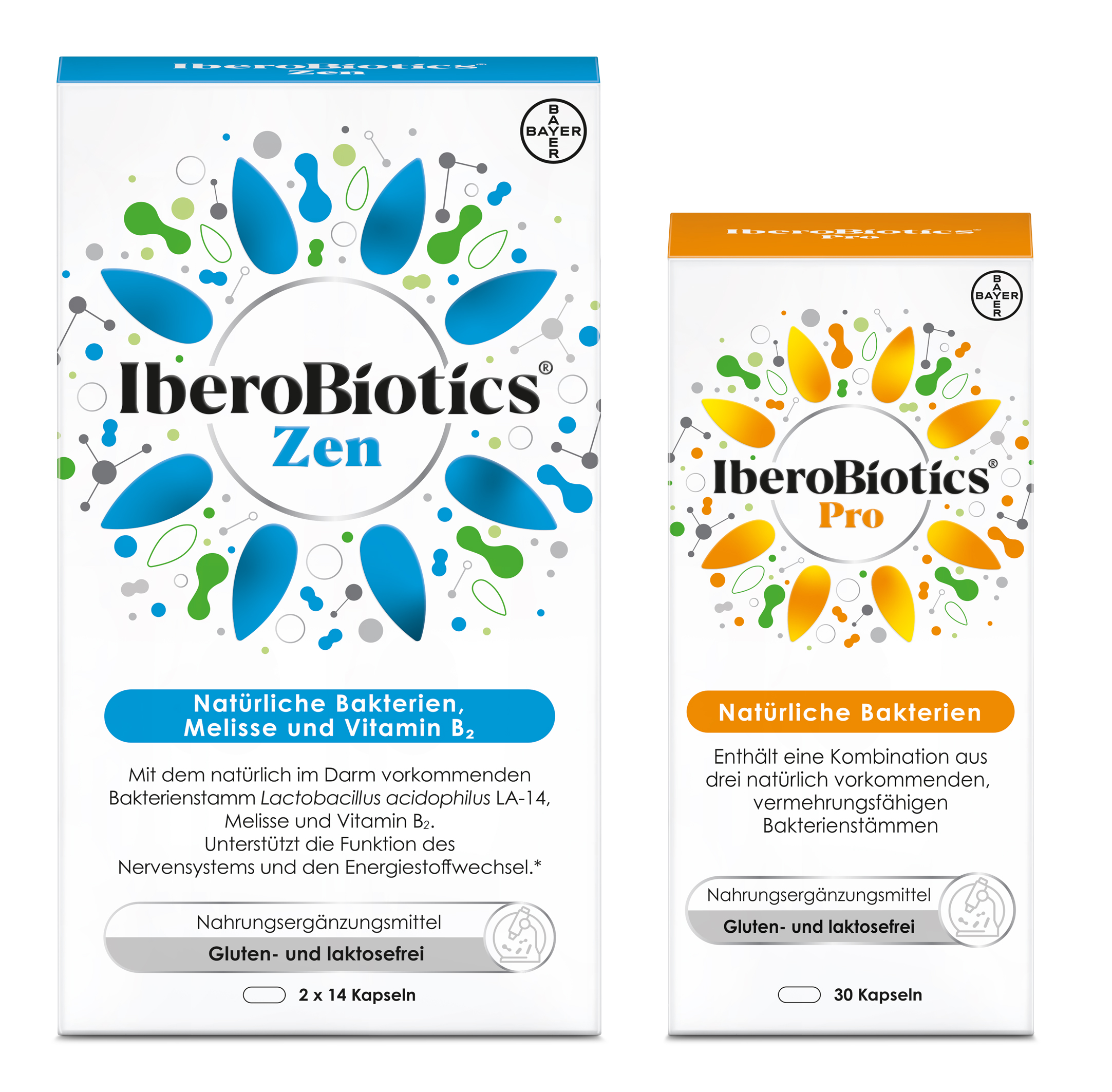 Das Darmmikrobiom: Bedeutung für die Beratung bei Magen-Darm-Beschwerden