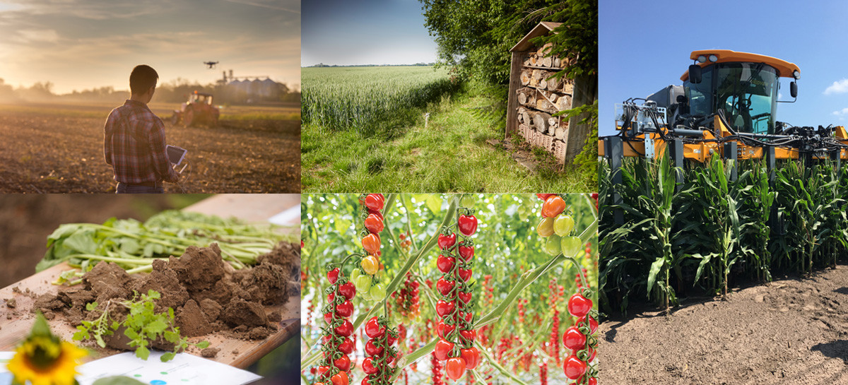 Crop Science Innovation Summit 2023: Pictures