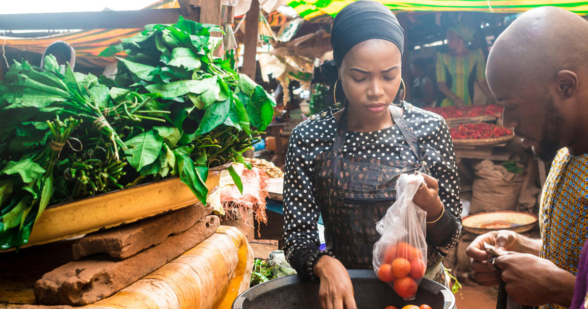 Independent research confirms value of Bayer’s smallholder farming ...