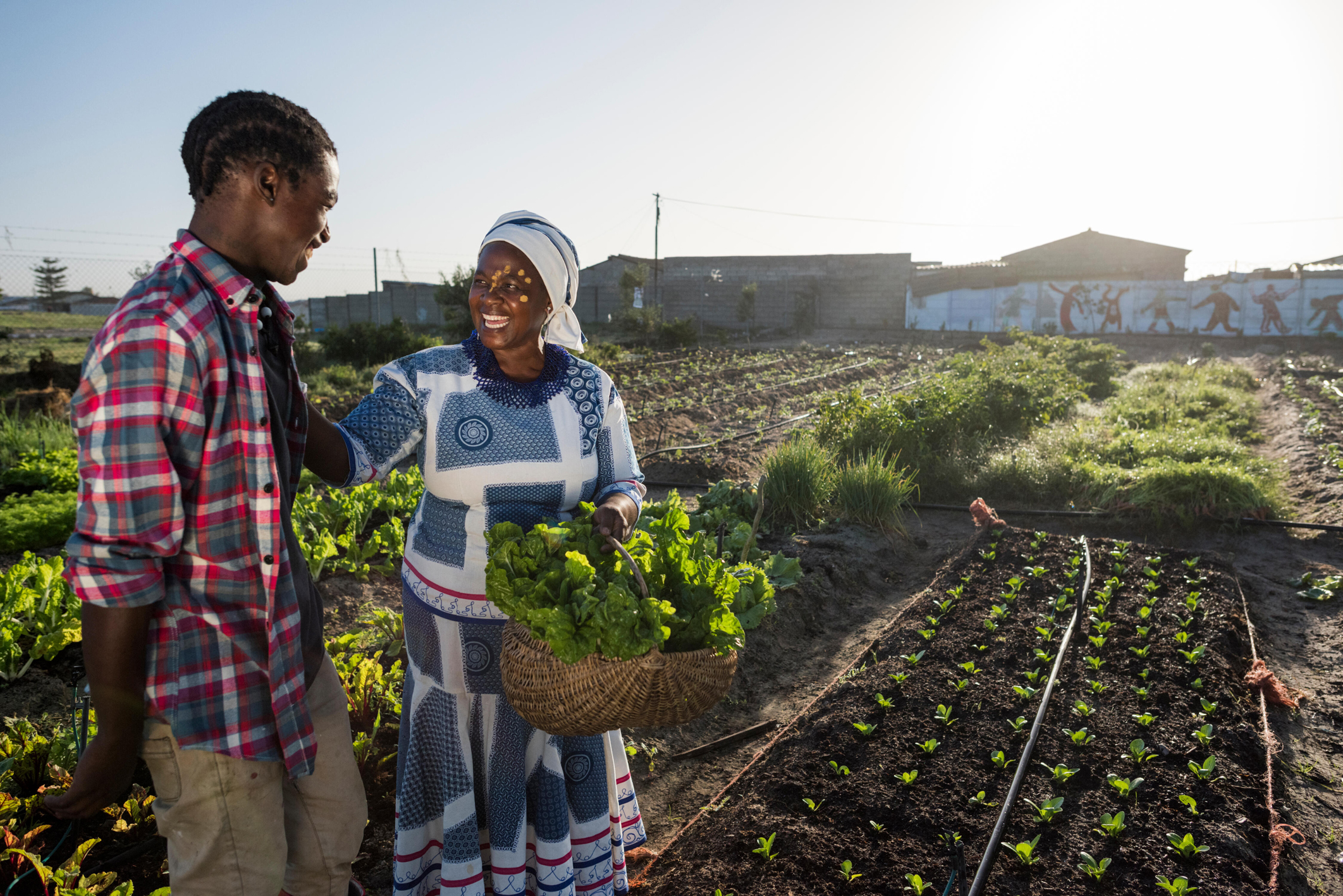 Smallholder farmers from Africa call for improved access to technology ...