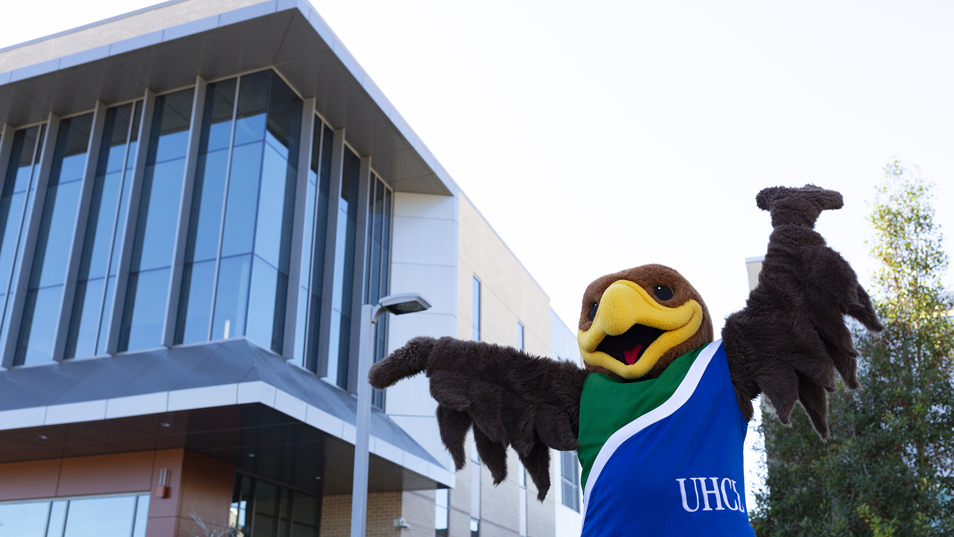 Free professional development lectures at UHCL Pearland this summer