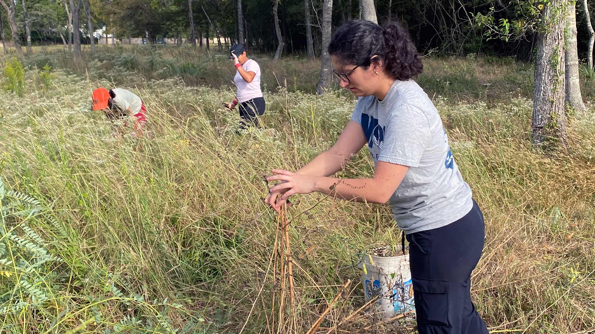 Planting event to help UHCL restore native plants to campus, support ...