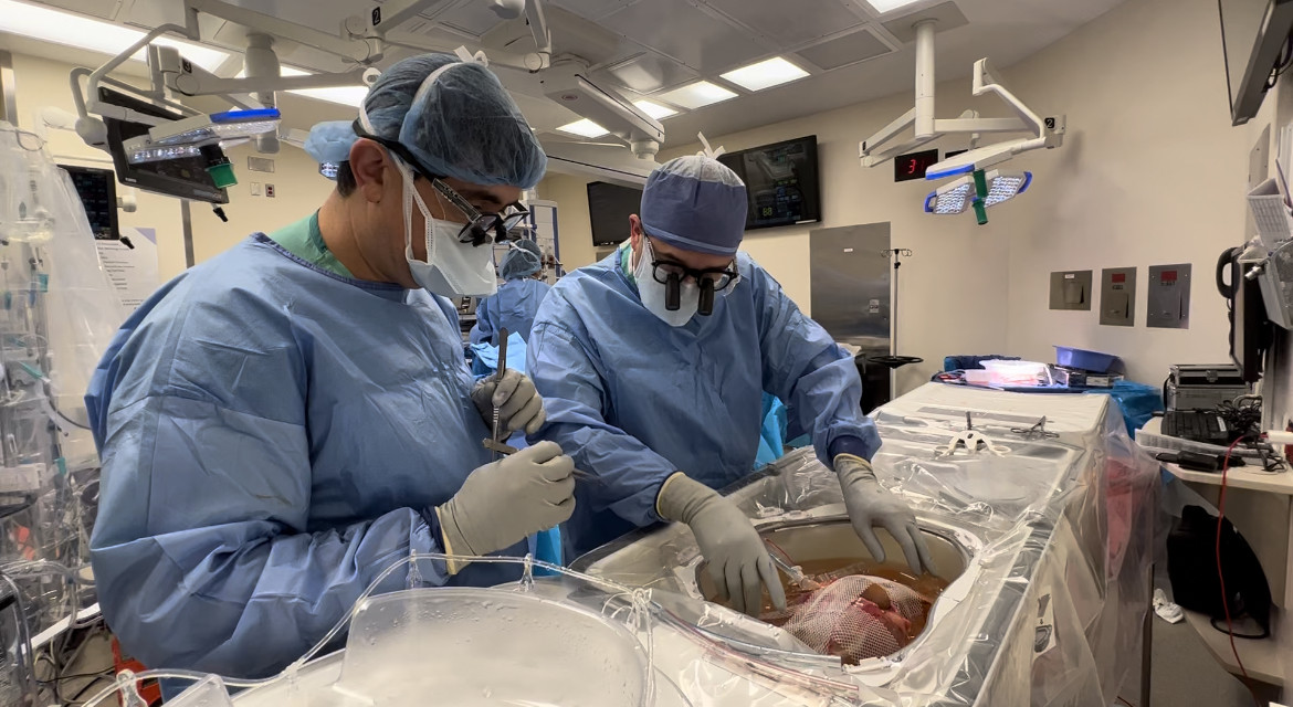 Northwestern introduces warm and cold liver perfusion