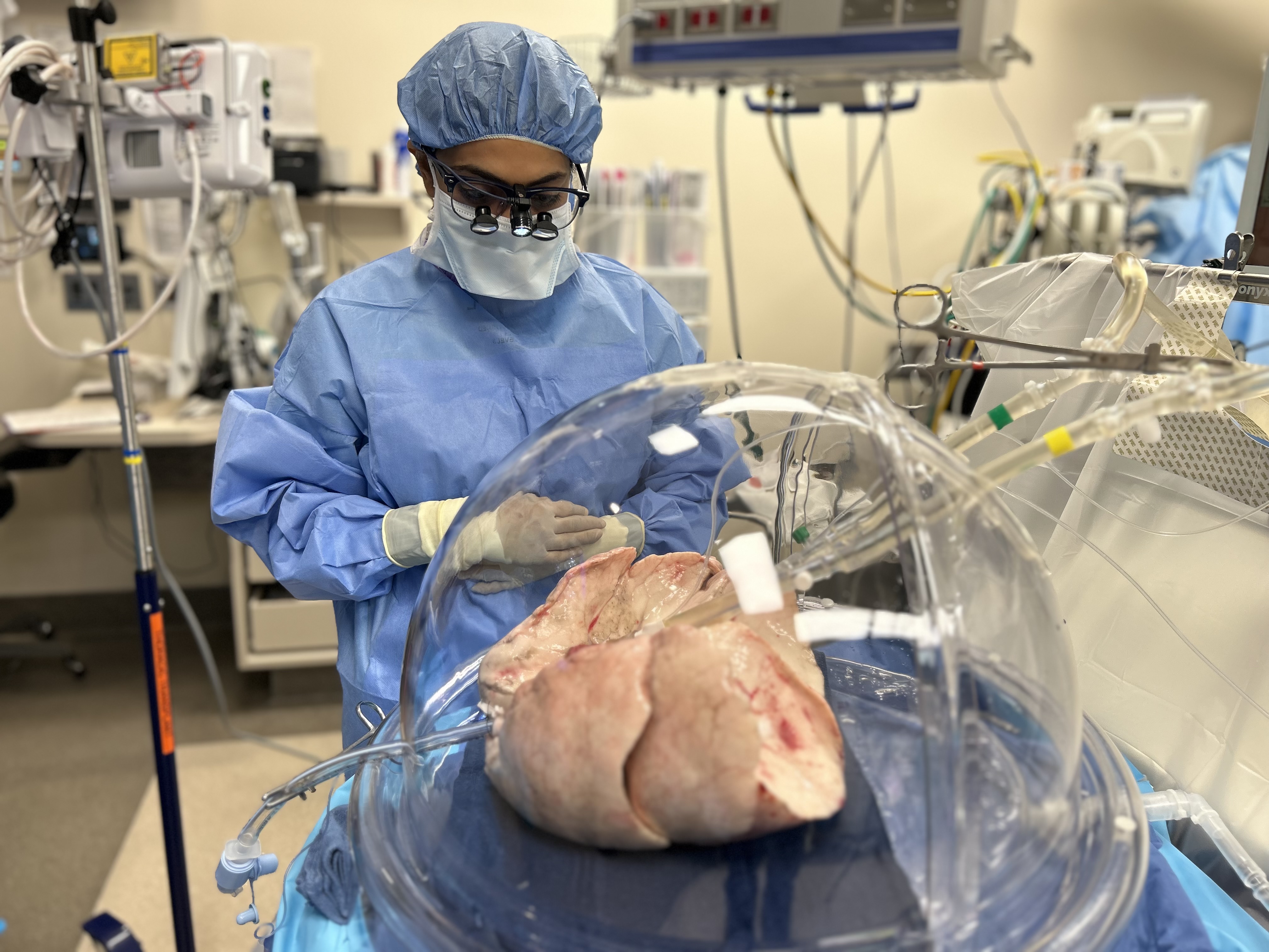 Northwestern Medicine performs the highest number of lung transplants ...