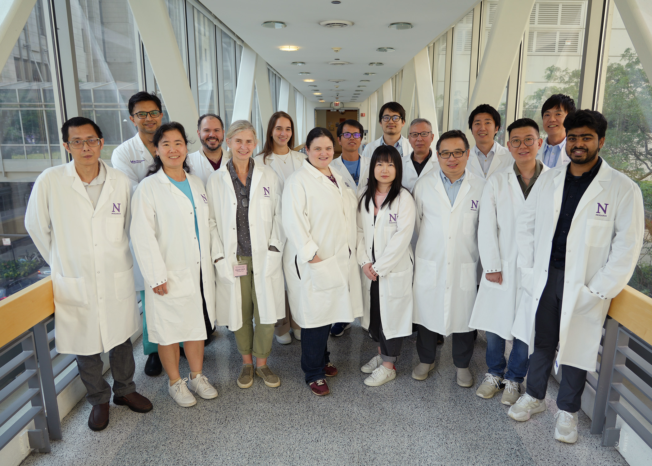 New research sheds light on a surprising connection between COVID-19 ...