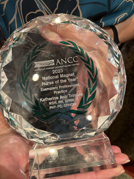 Winfield nurse honored as National Magnet Nurse of the Year by the ...