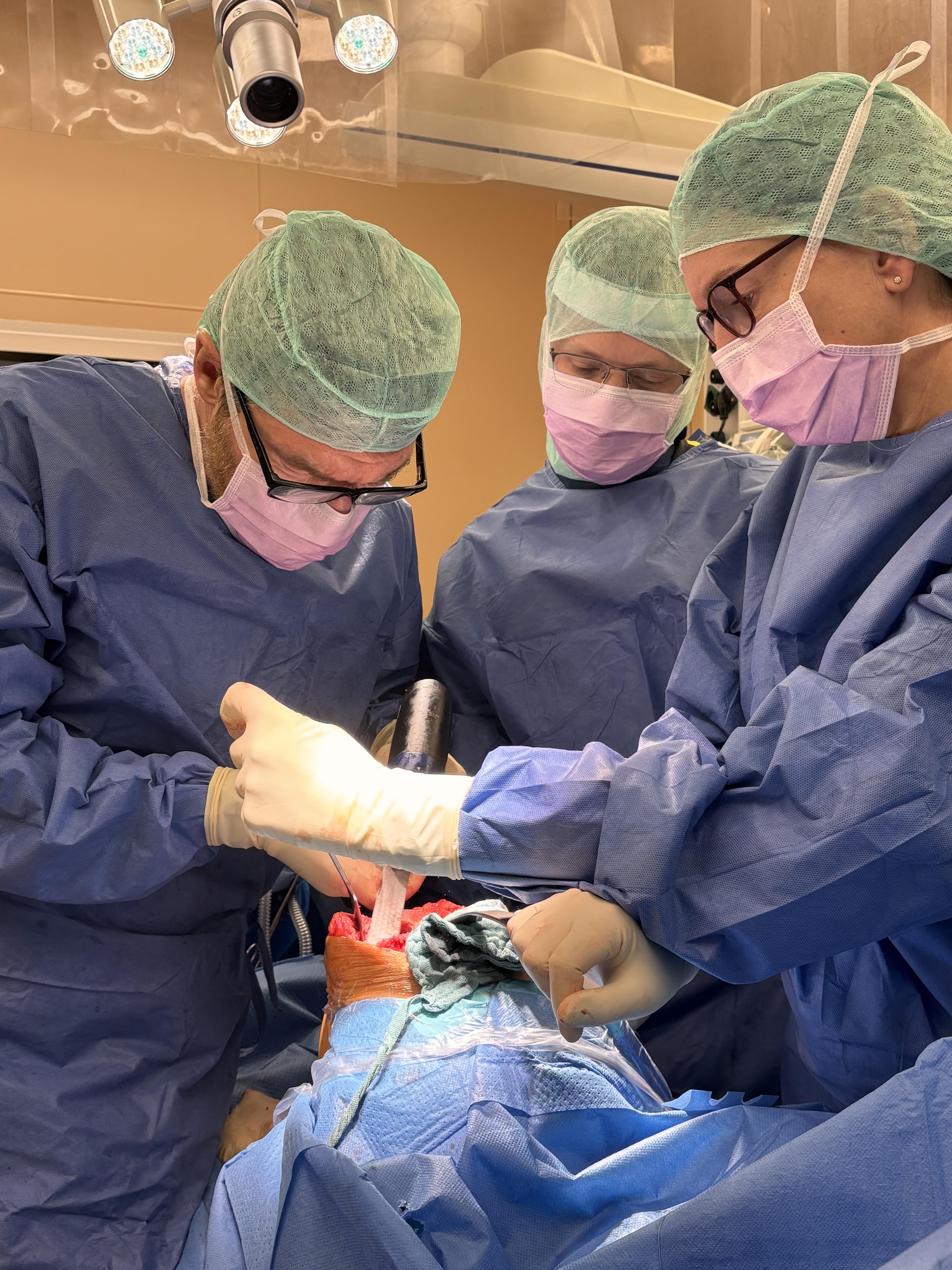 Sana Kliniken Sommerfeld: neues Implantat fürs Knie