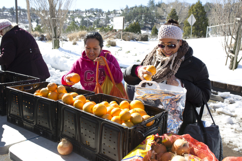 Ahold Delhaize and The Global FoodBanking Network strengthen ...