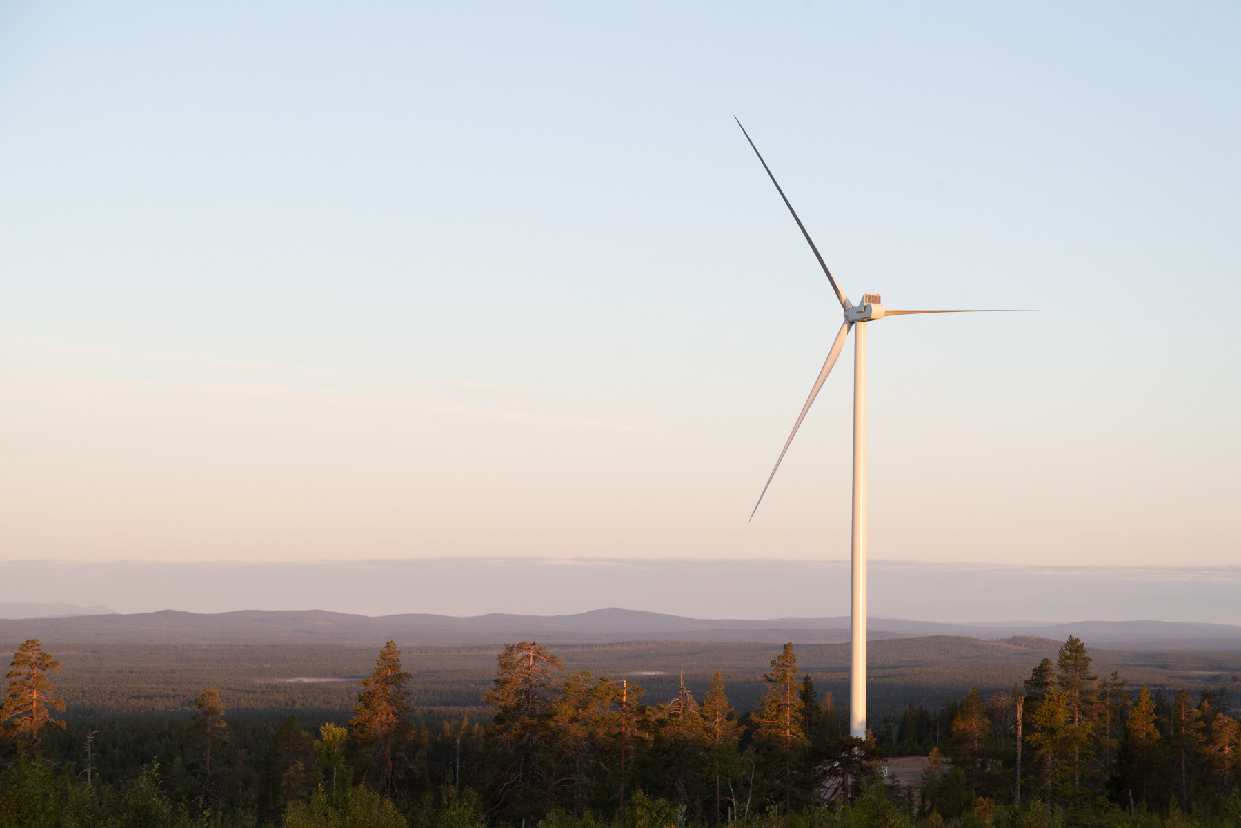 Ahold Delhaize expands its renewable energy efforts across Europe