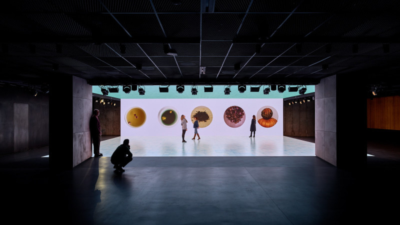 GENESIS HOUSE NEW YORK: A SOPHISTICATED OASIS OPENS