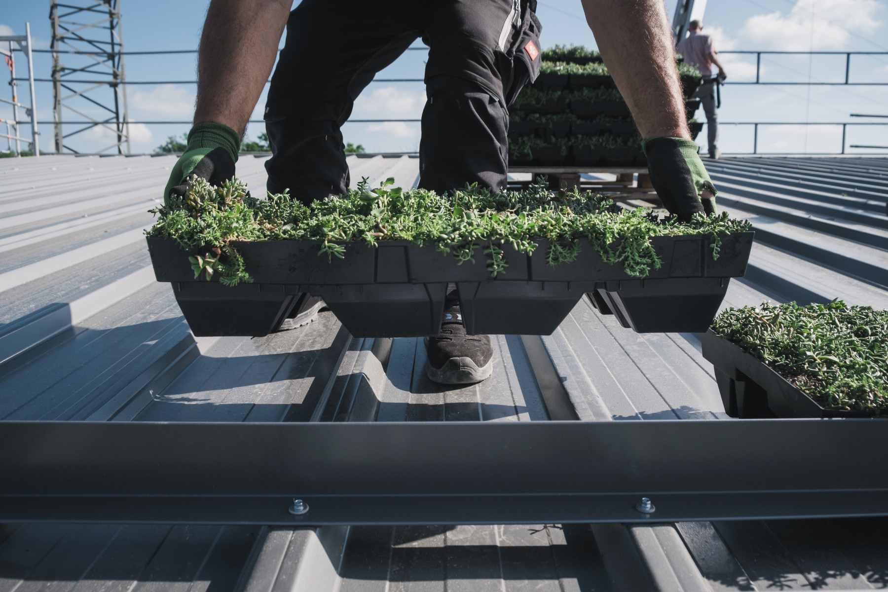 Tata Steel Nederland lanceert de Green Box: voor groene daken van metaal