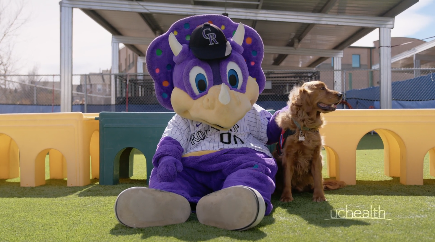 UCHealth to donate $5,000 to Freedom Service Dogs each time Rockies ...