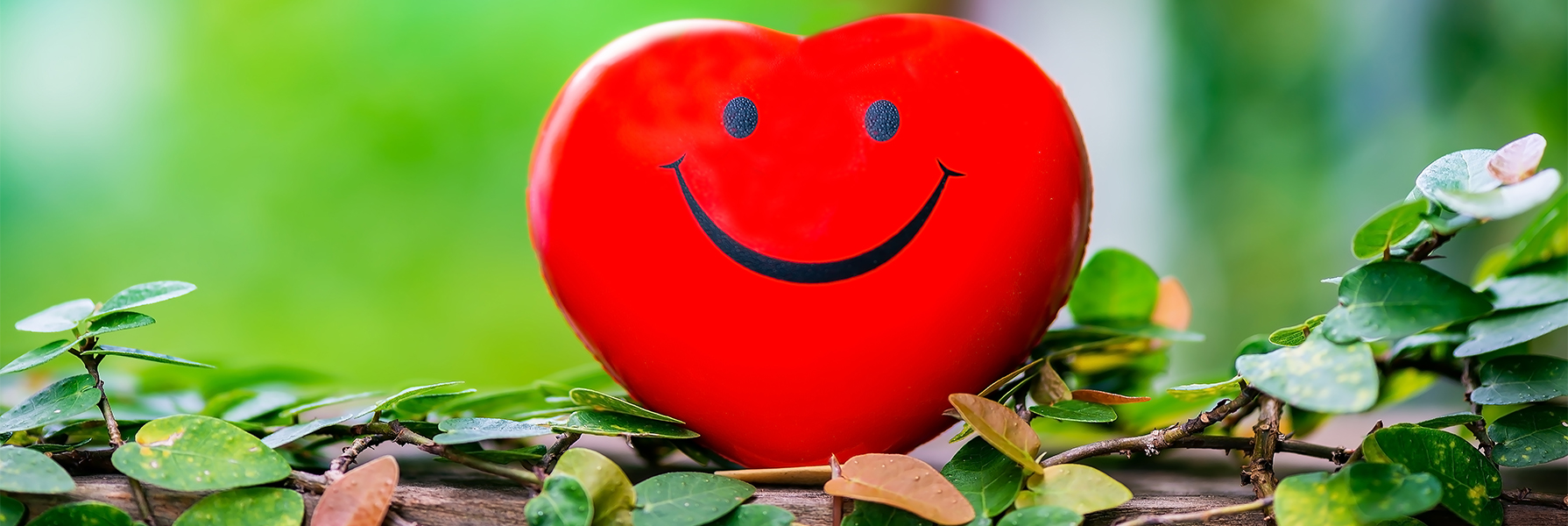 Aliments pour un régime alimentaire sain pour le cœur