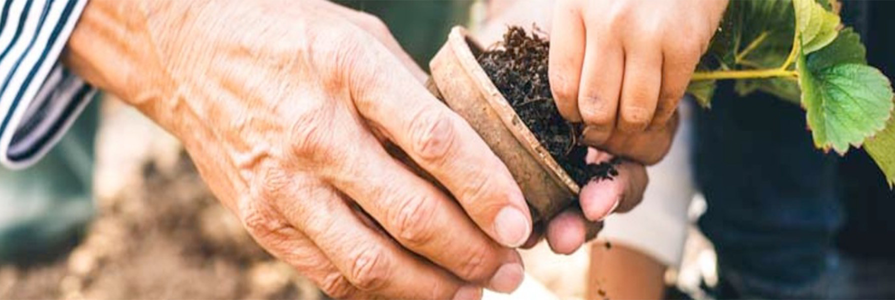 Altruismo e felicità