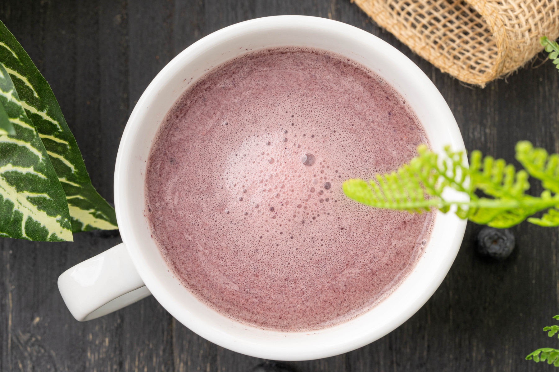 Latte Solis Purple Flash : boisson énergisante