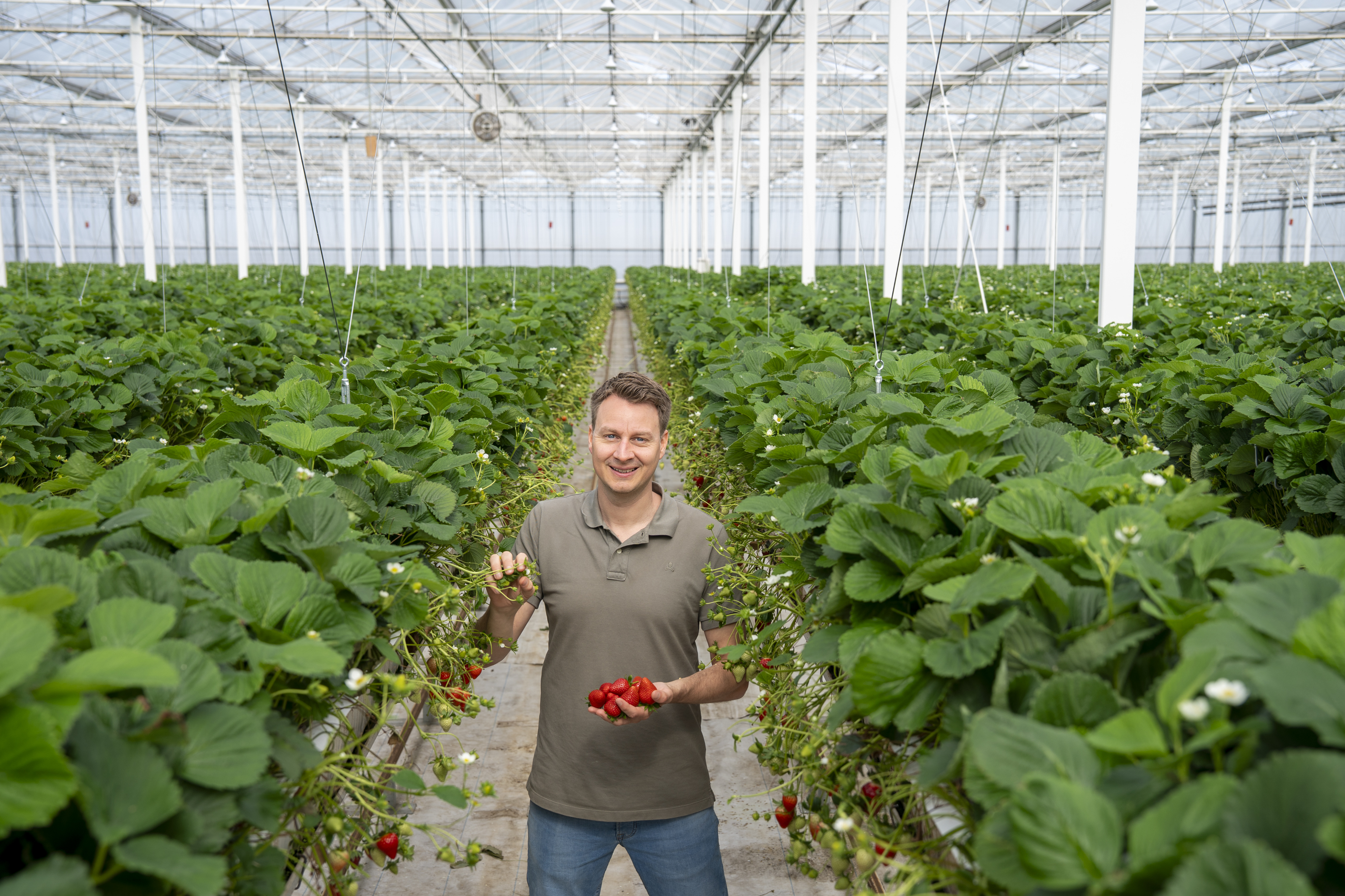 Van boer tot bord: Jumbo lanceert '(H)eerlijk van Dichtbij' vol lokale verhalen